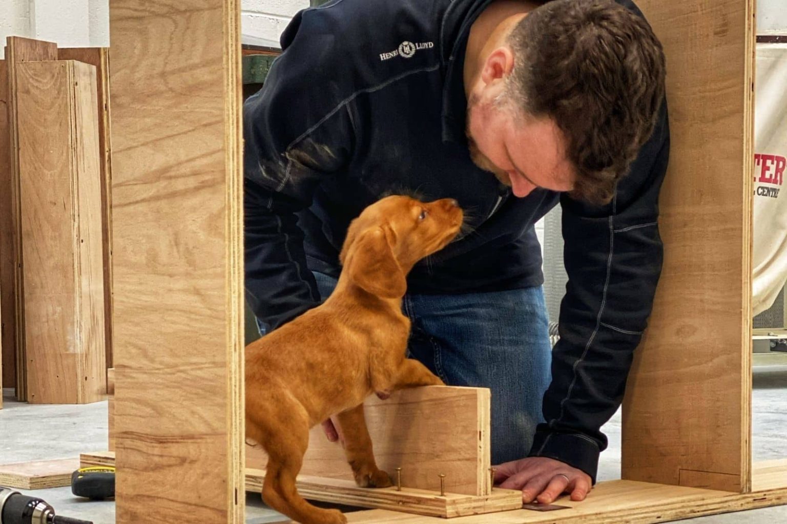 Workshop Updates, New Arrivals and Our Plans for 2022 - Pet Carpenter