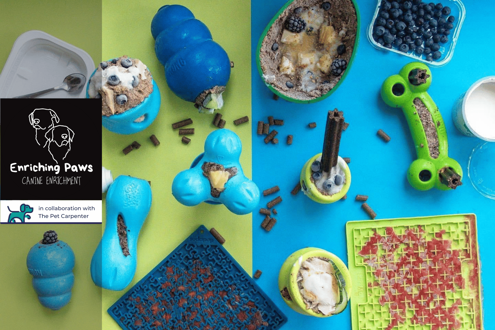 How to enjoy the summer with your dogs - Pet Carpenter