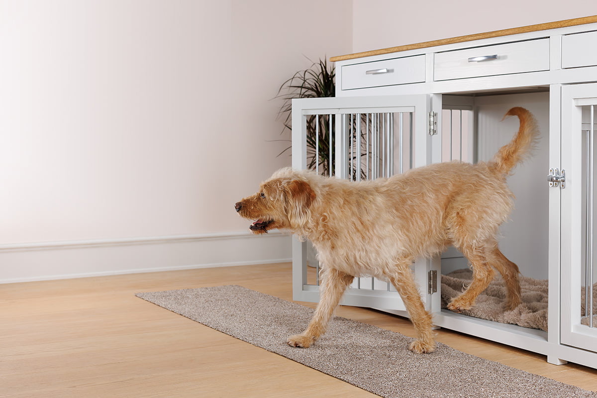 Contact Us - Pet Carpenter