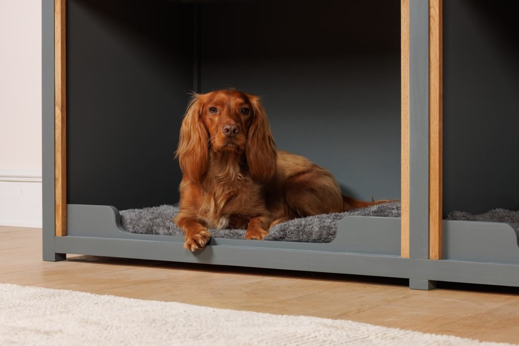 Gallery - Pet Carpenter