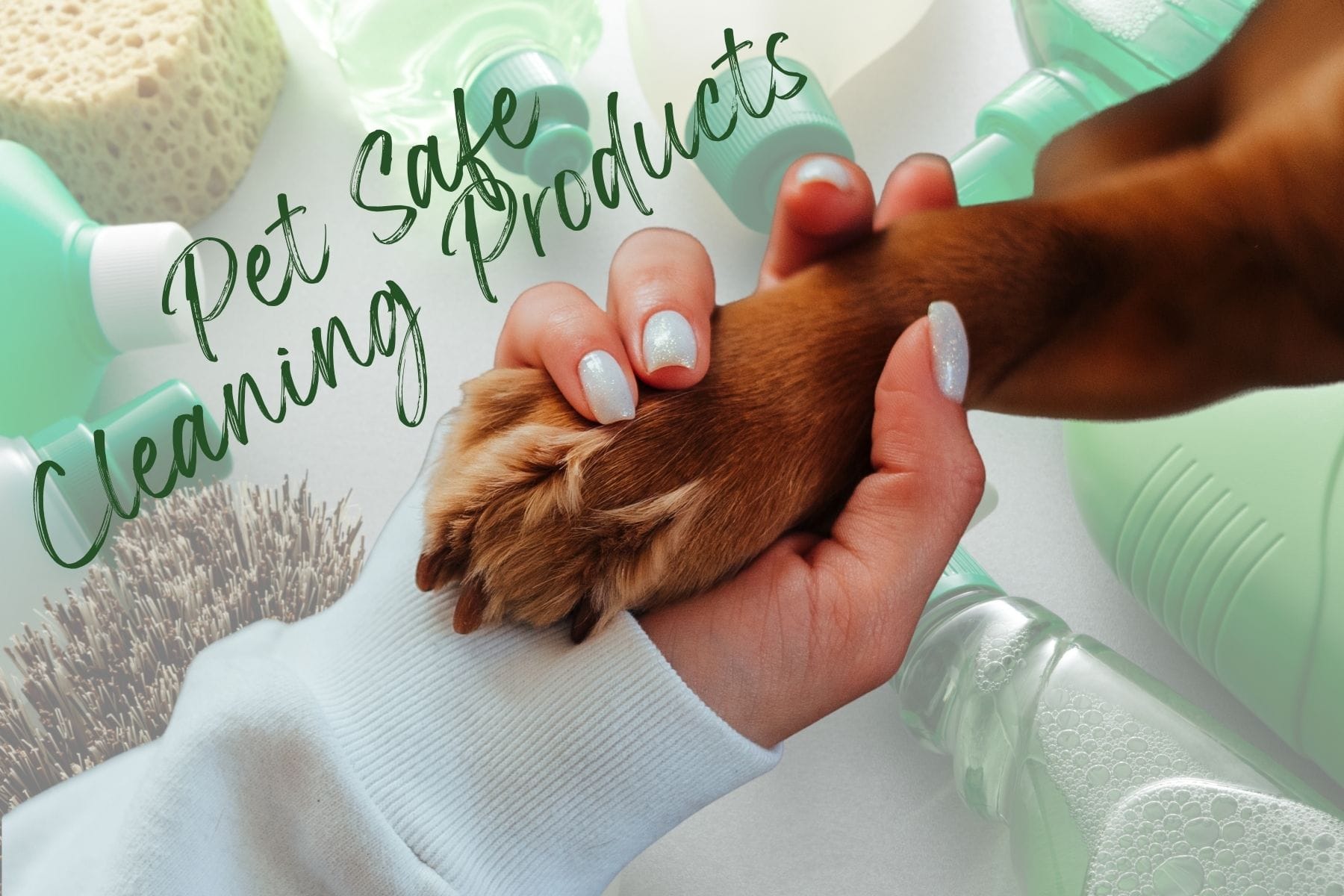 Pet Safe Furniture Cleaning Products: Our Top Picks for a Cleaner ...