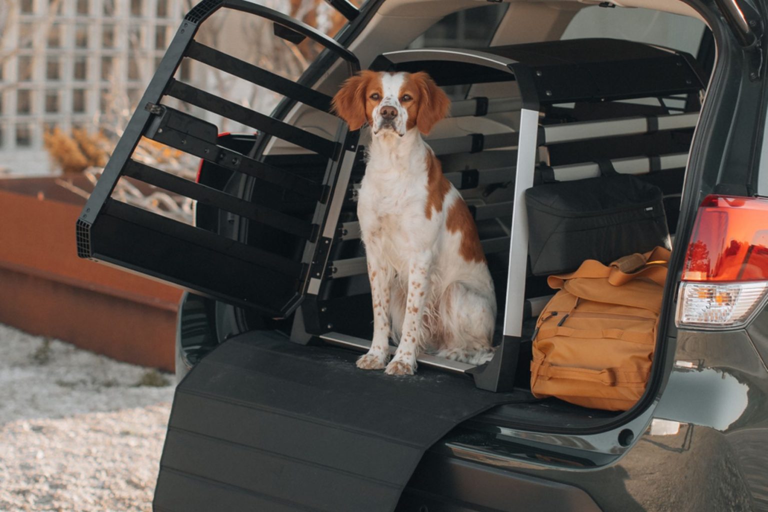 Which Dog Crate Is Best? The Ultimate Guide for Modern Pet Owners - Pet ...